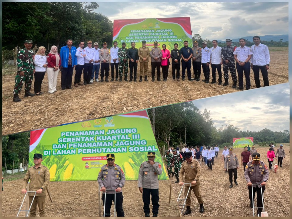 Bersama Forkopimda Konsel, Kapolres Konsel Laksanakan Penanaman Jagung ...